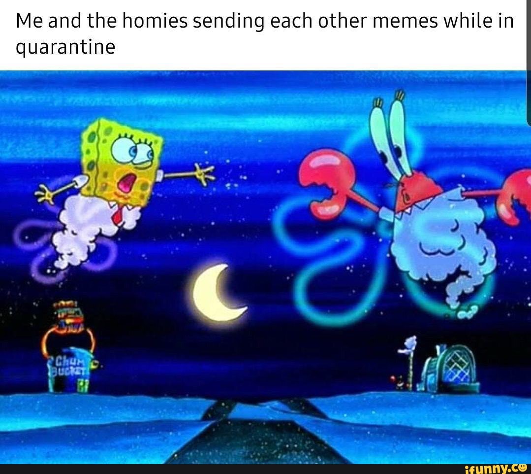 Me and the homies sending each other memes while in quarantine - iFunny