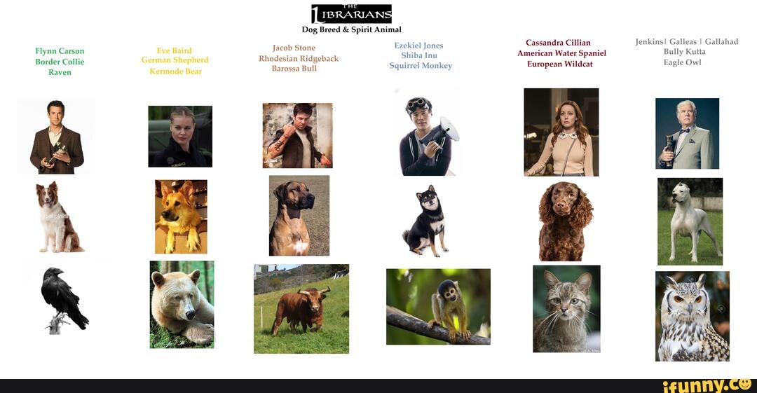 Barossa memes. Best Collection of funny Barossa pictures on iFunny