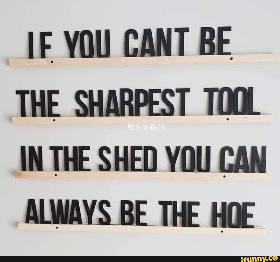 IF YOU CANT BE THE SHARPEST TOOL IN THE SHED YOU CAN - iFunny