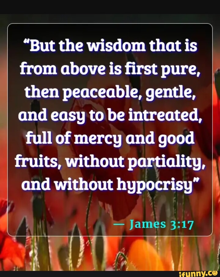 "But the wisdom that is from above is first pure, I then peaceable ...