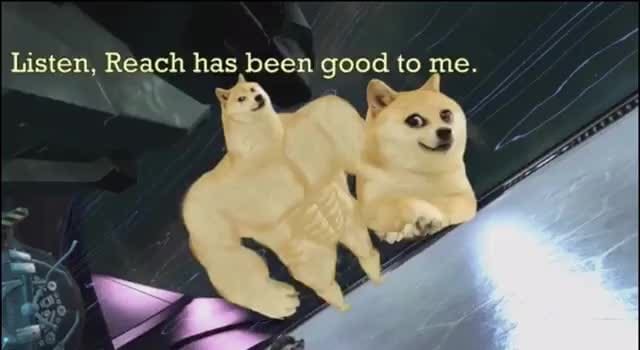 Listen, Reach has been good to me. - )