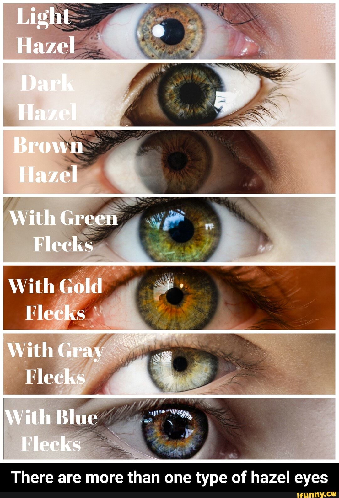 Gray hazel eyes store