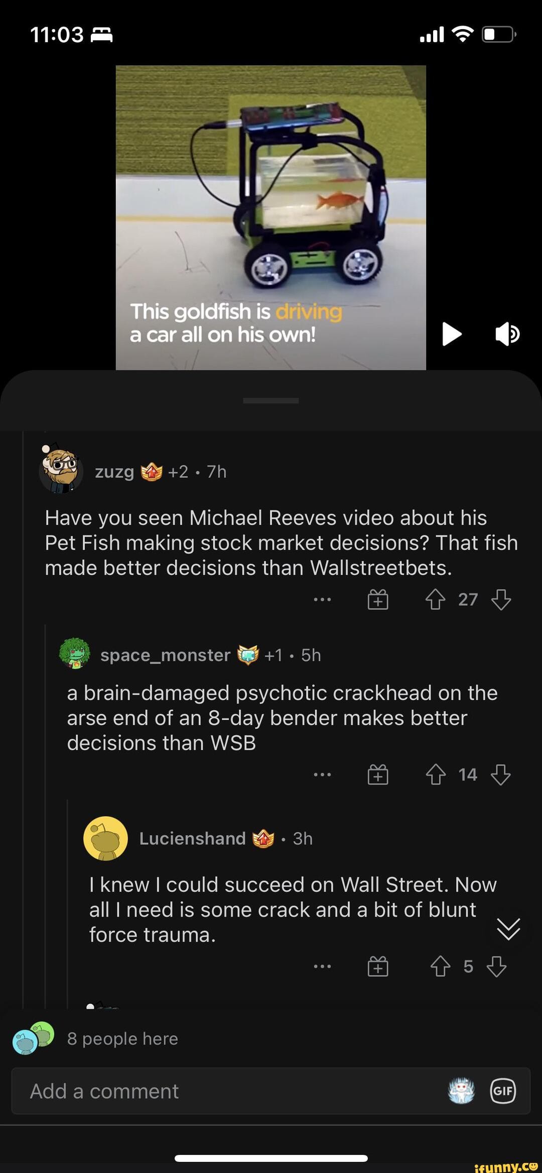 All This golelfish is a car all on his own! cp Have you seen Michael ...