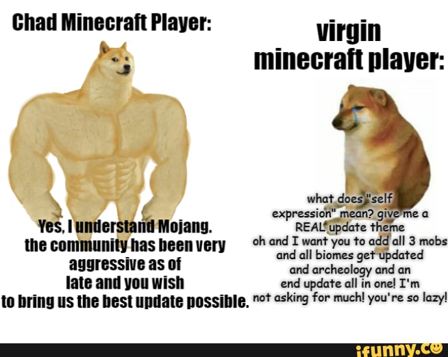 Chad Minecraft Player: virgin minecraft player: what. doegize expression" mean? gi Yes ...