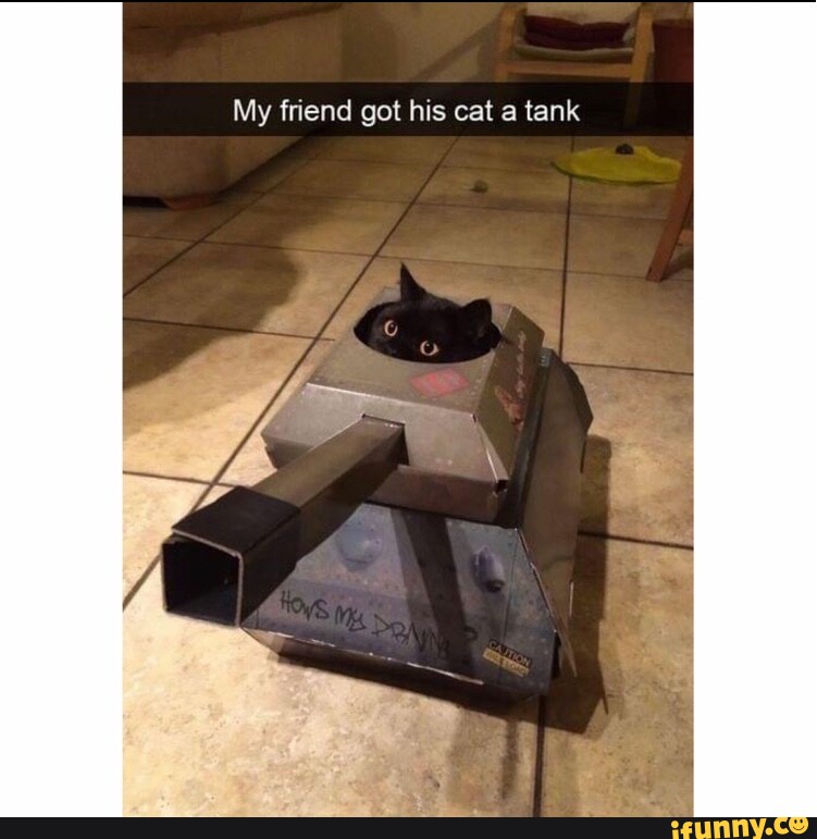 My friend got his cat a tank - iFunny