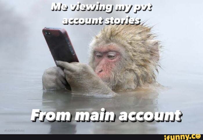 Japanese_macaque memes. Best Collection of funny Japanese_macaque pictures on iFunny