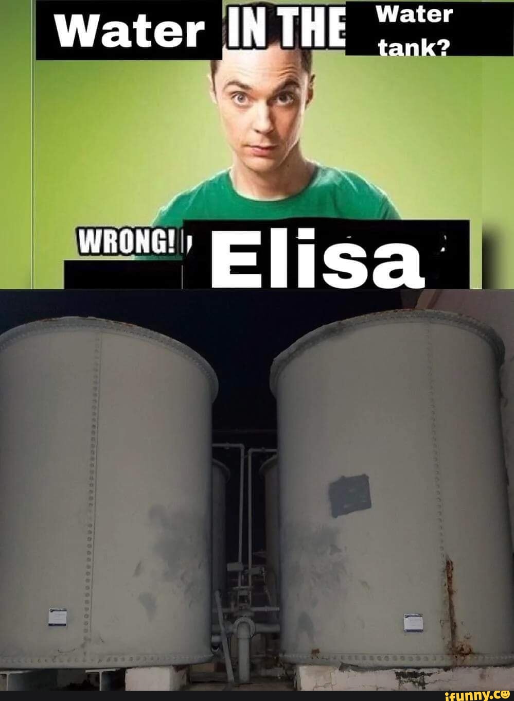 Elisa memes. Best Collection of funny Elisa pictures on iFunny