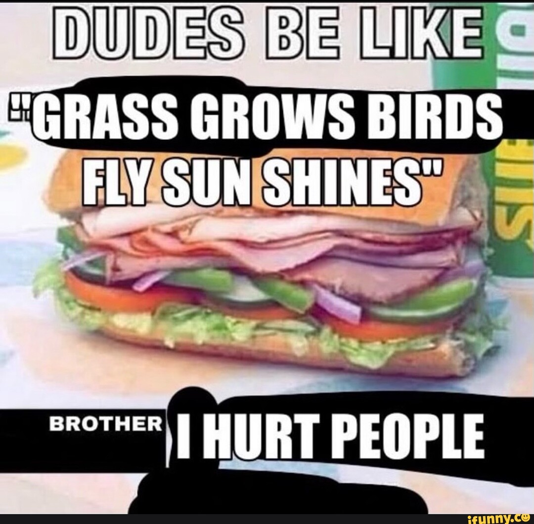 "GRASS GROWS BIRDS FLY SUN SHINES" I HURT PEOPLE - iFunny