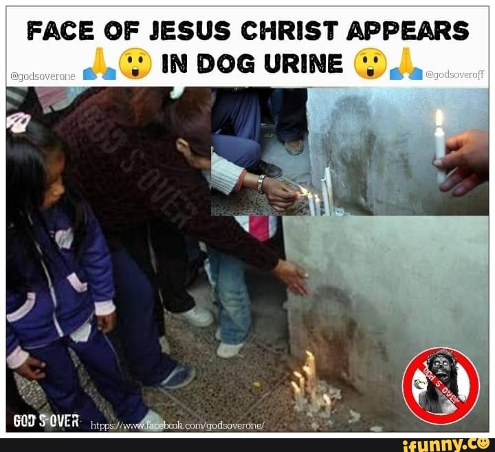 FACE OF JESUS CHRIST APPEARS IN DOG URINE - iFunny