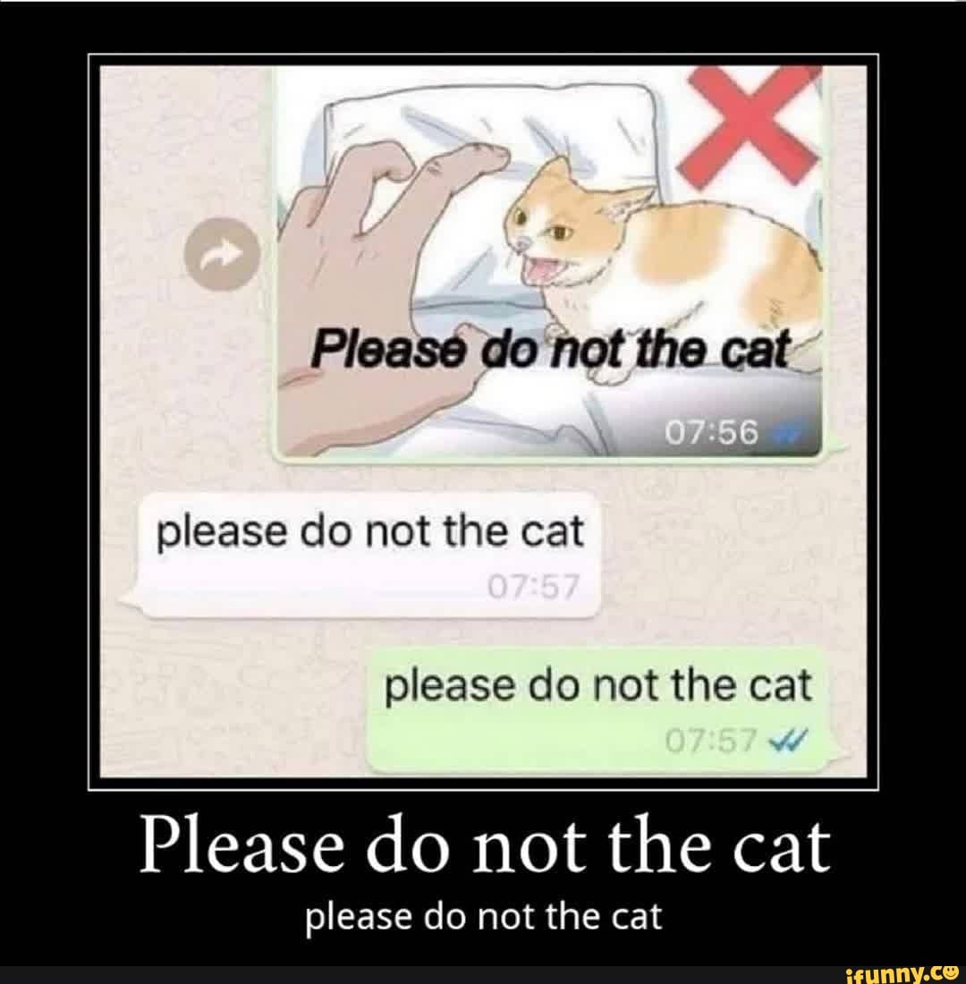 please-do-not-the-cat-please-do-not-the-cat-please-do-not-the-cat