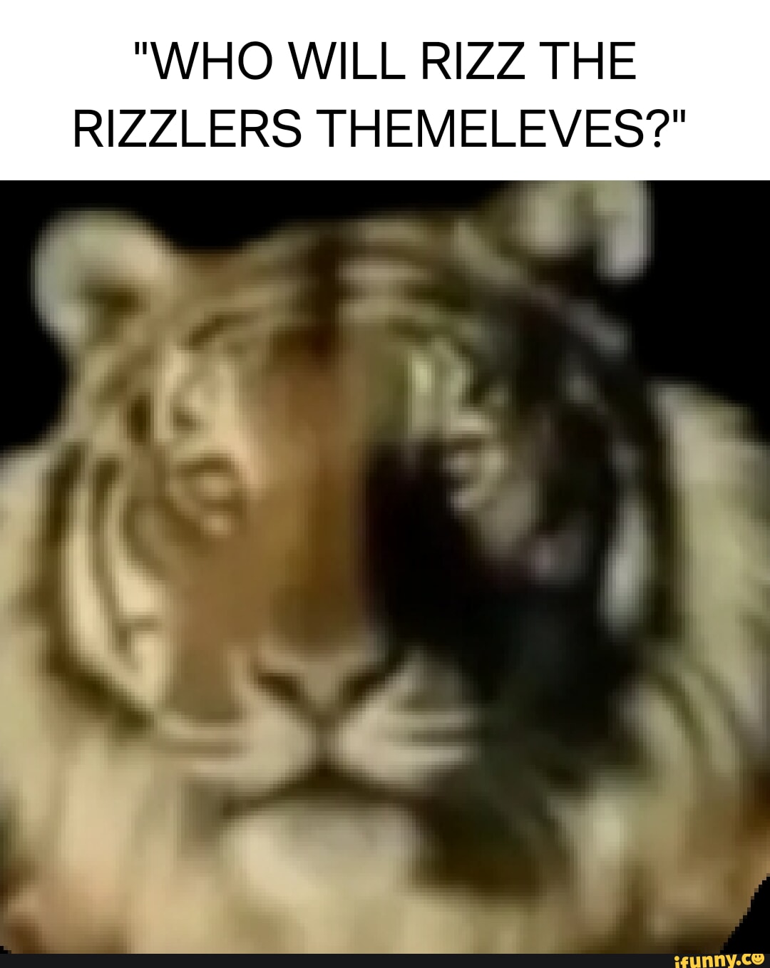 Rizzler memes. Best Collection of funny Rizzler pictures on iFunny