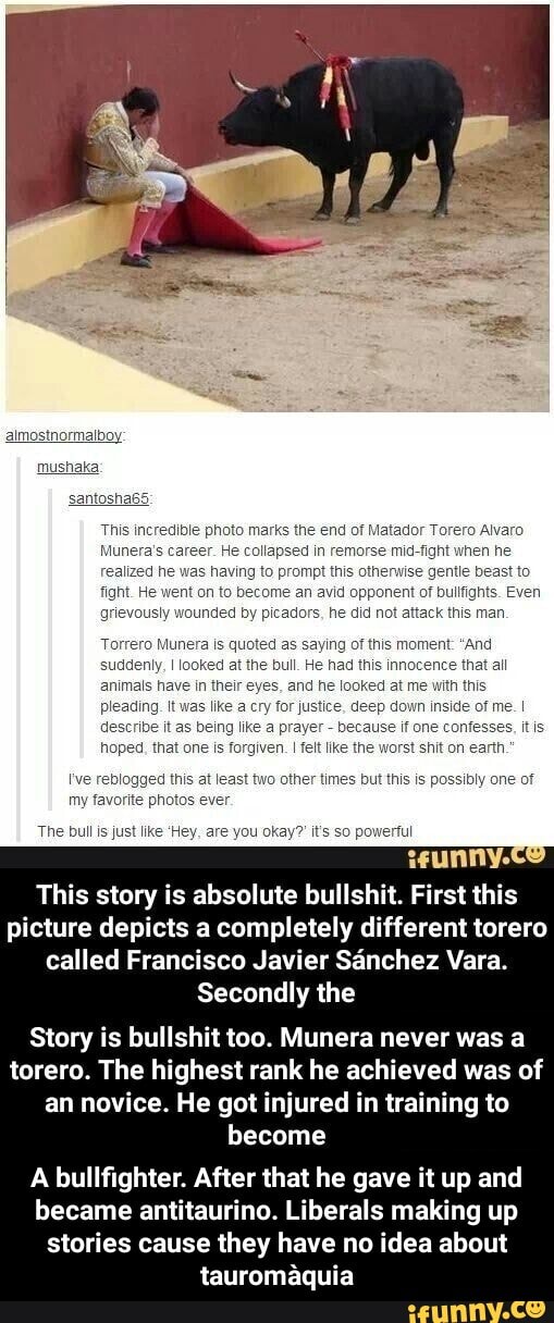 Mushaka memes. Best Collection of funny Mushaka pictures on iFunny