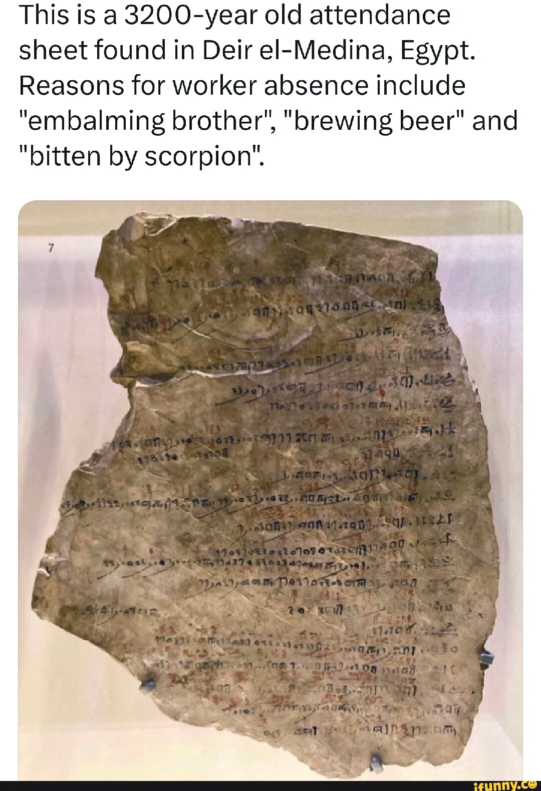 Embalming memes. Best Collection of funny Embalming pictures on iFunny