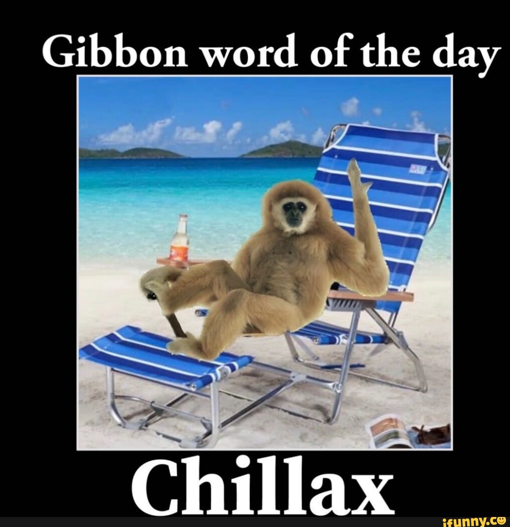Chillax memes. Best Collection of funny Chillax pictures on iFunny