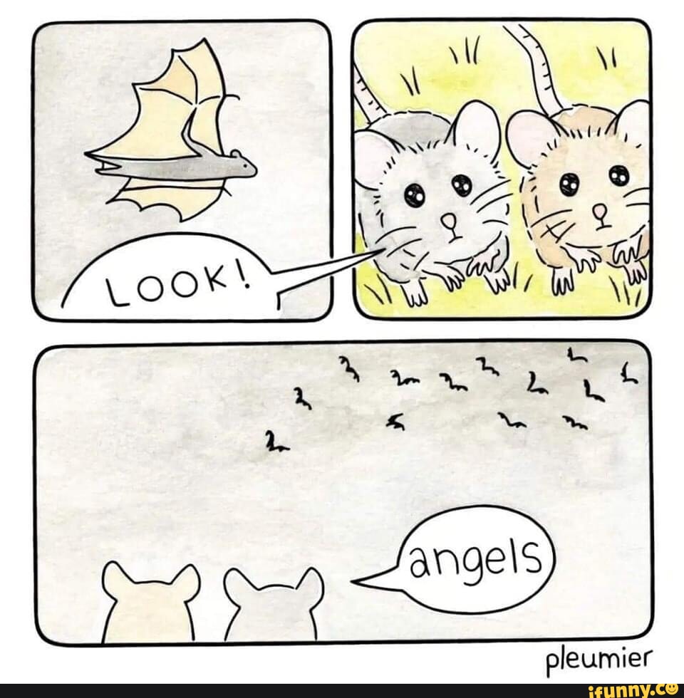 Feature memes. Best Collection of funny Feature pictures on iFunny