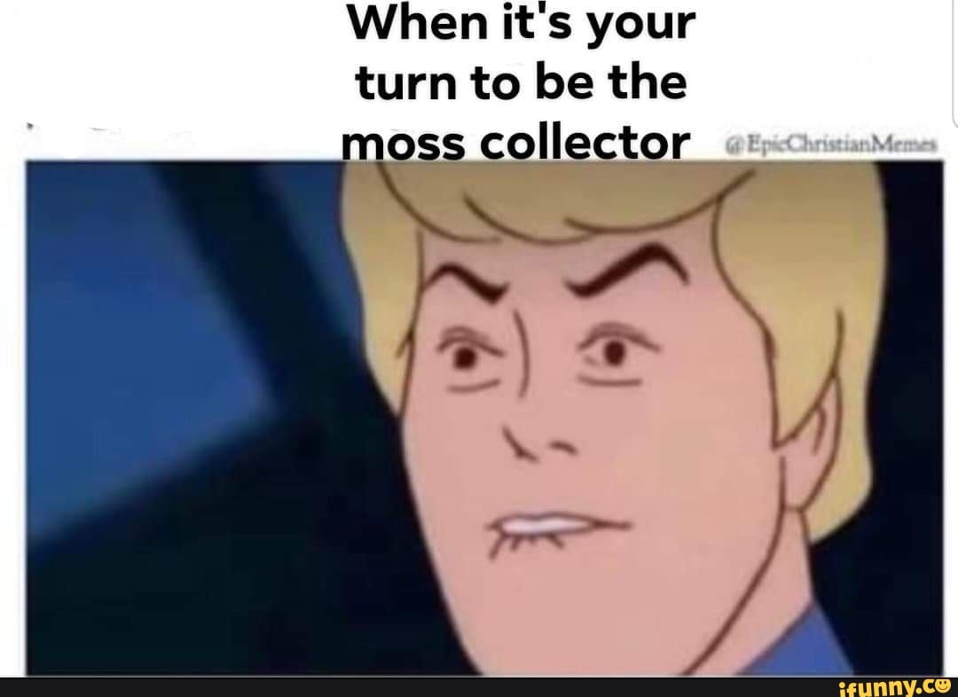 Mosscollector memes. Best Collection of funny Mosscollector pictures on ...