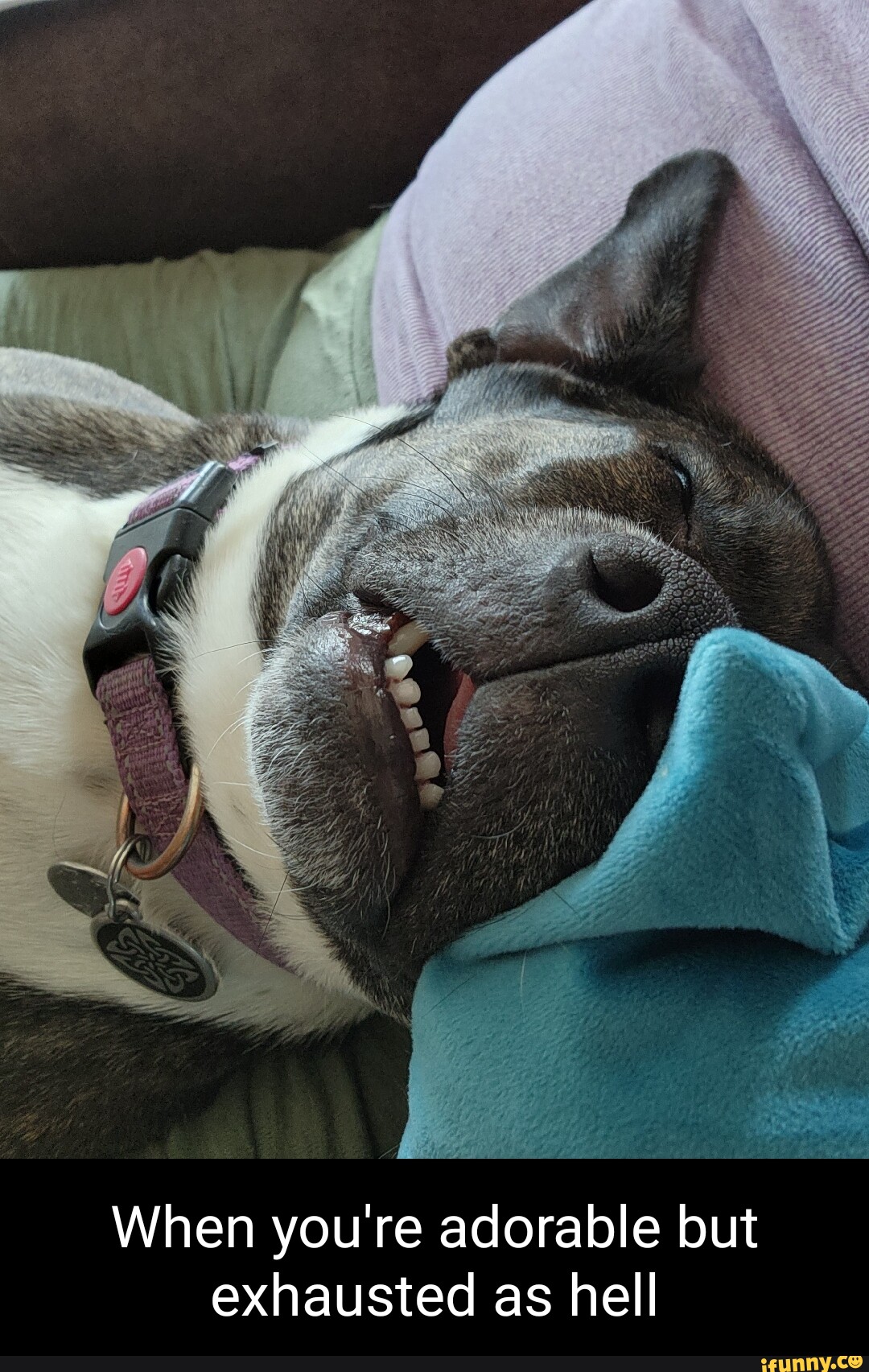 Doze memes. Best Collection of funny Doze pictures on iFunny