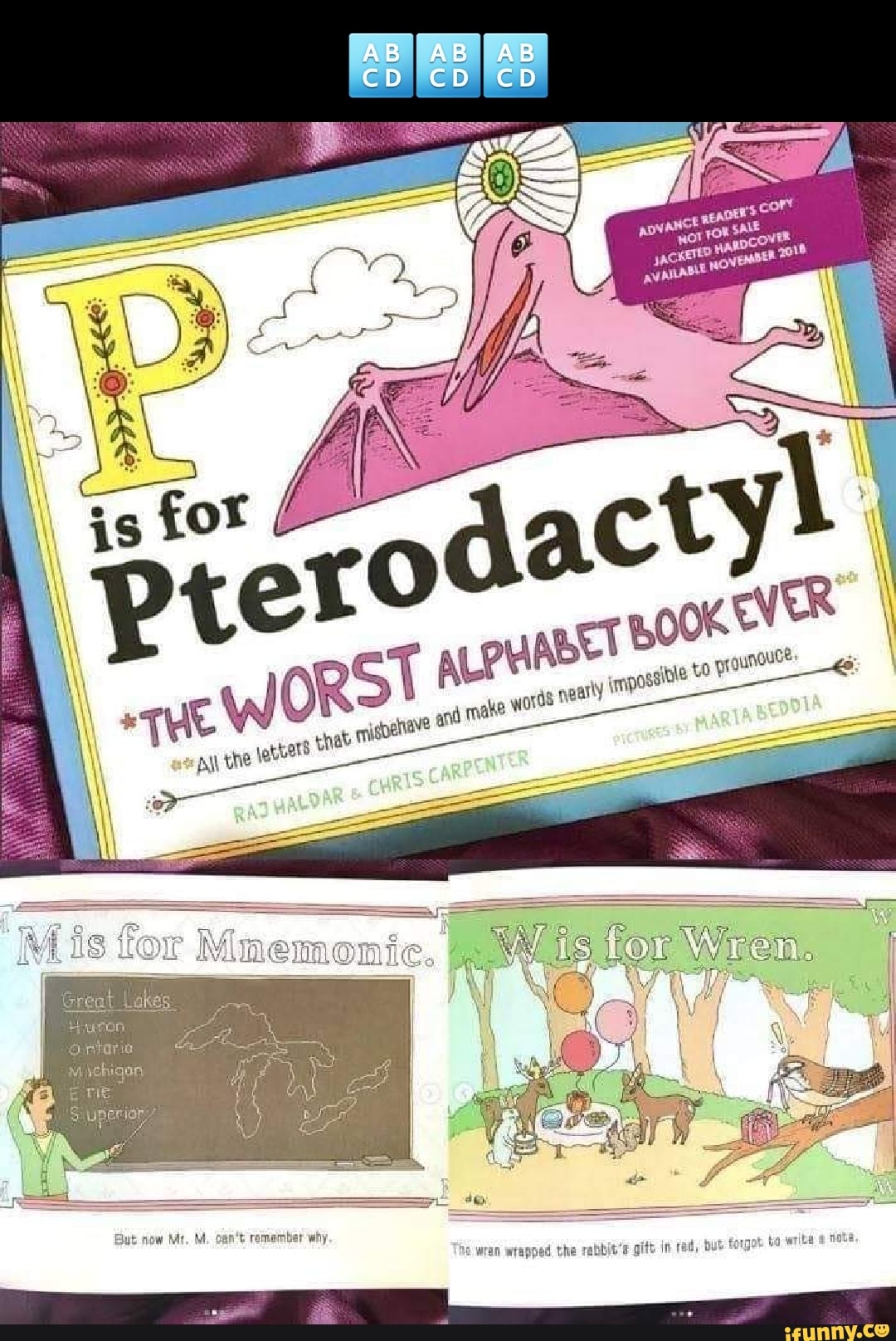 Great Lakes But now Mr. remember why wran wrapped the rabbit's gift rad ...