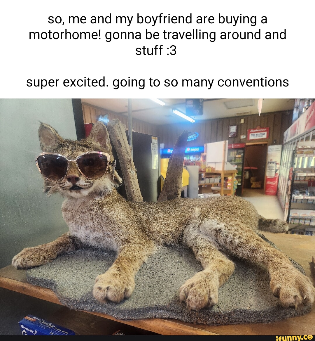 Motorhome memes. Best Collection of funny Motorhome pictures on iFunny