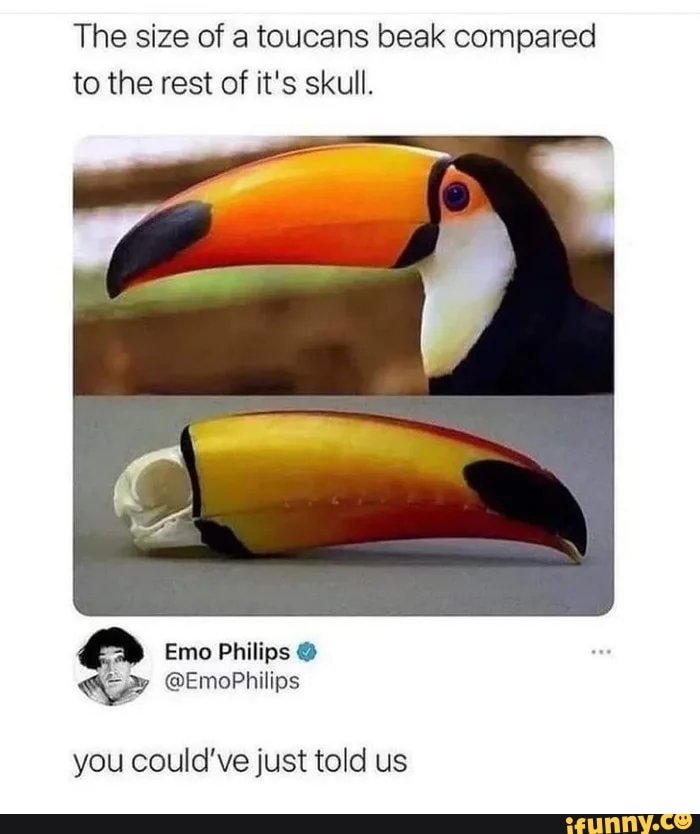 Philips memes. Best Collection of funny Philips pictures on iFunny