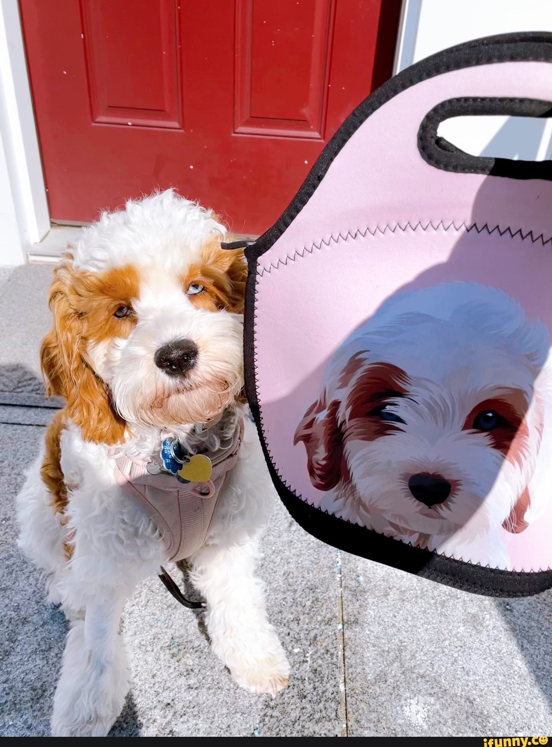 Outgrowing memes. Best Collection of funny Outgrowing pictures on iFunny