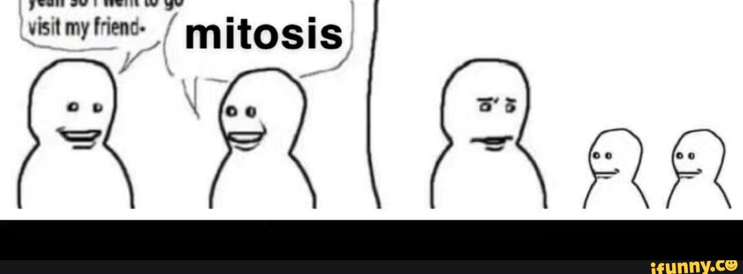 Mitosis memes. Best Collection of funny Mitosis pictures on iFunny