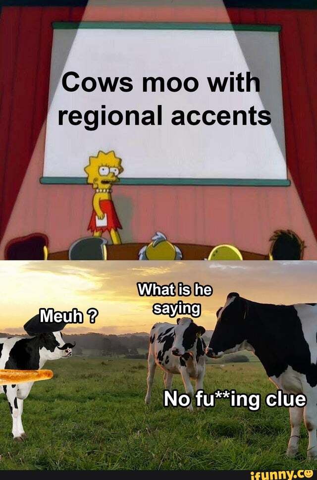 Pumpkin spiced meme dump - Cows moo with regional accents What is he ...