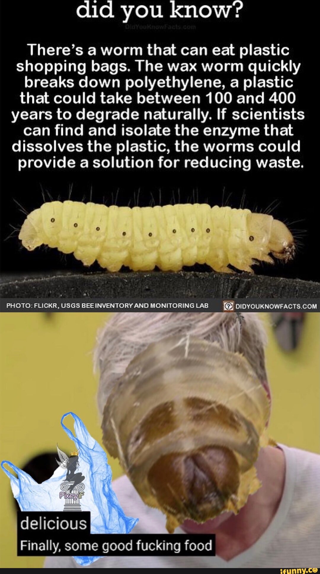 Did you know? There's a worm that can eat plastic shopping bags. The ...