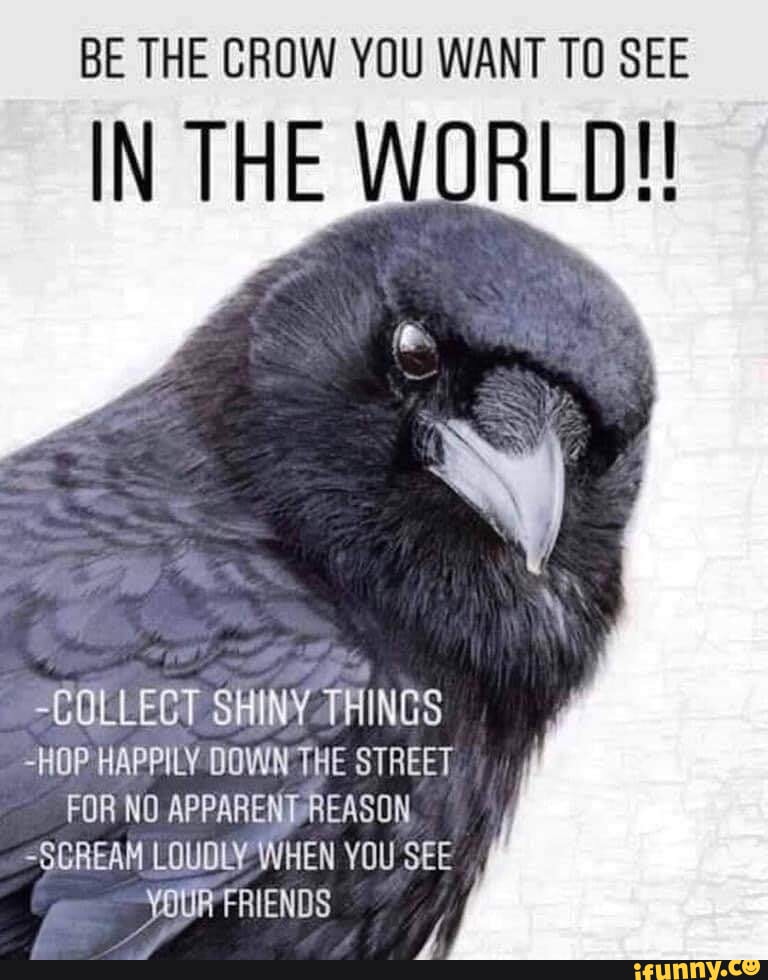 BE THE CROW YOU WANT TO SEE IN THE WORLD! =COLLECT SHINY THINGS -HOP ...