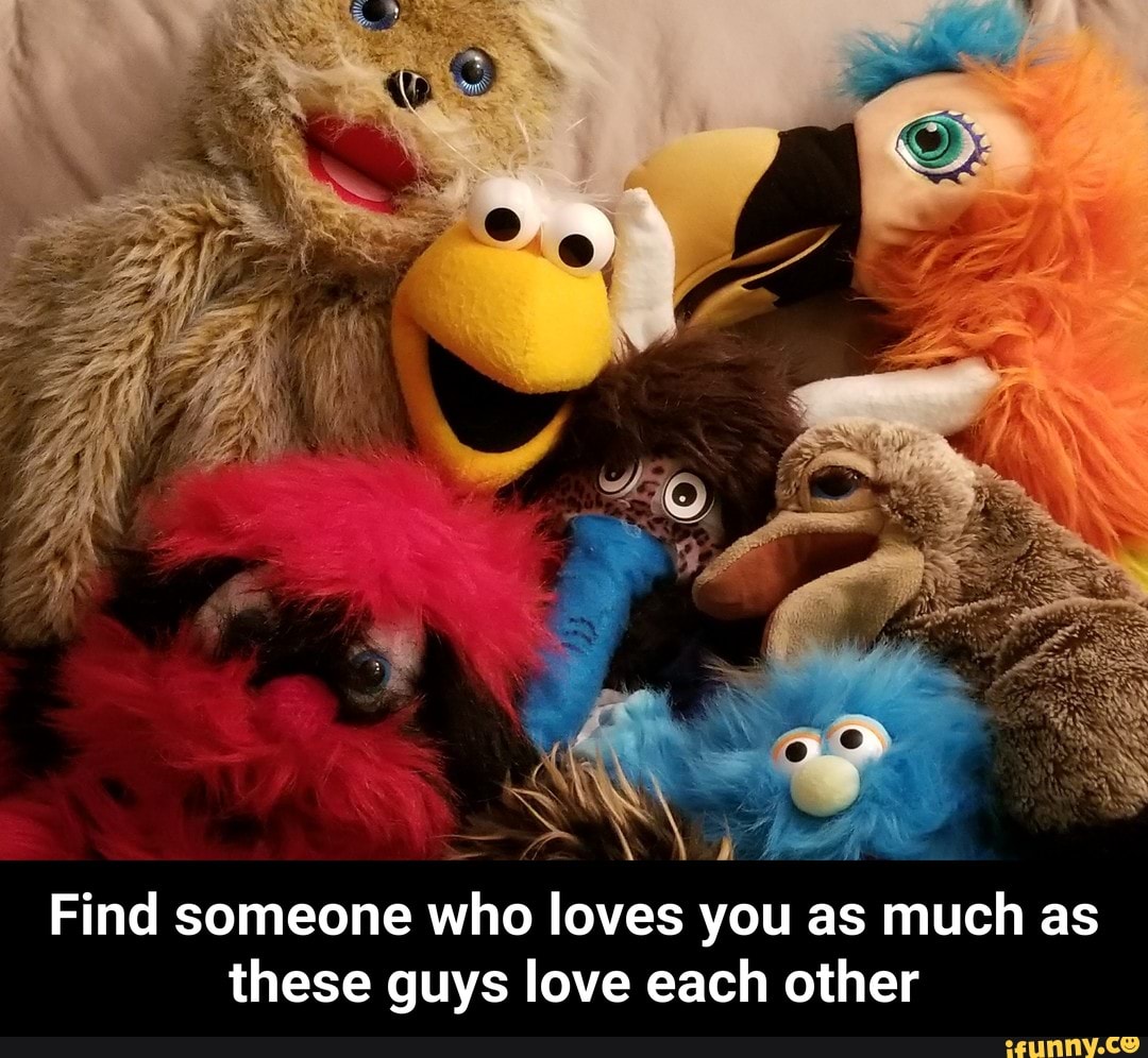 Animalboy memes. Best Collection of funny Animalboy pictures on iFunny