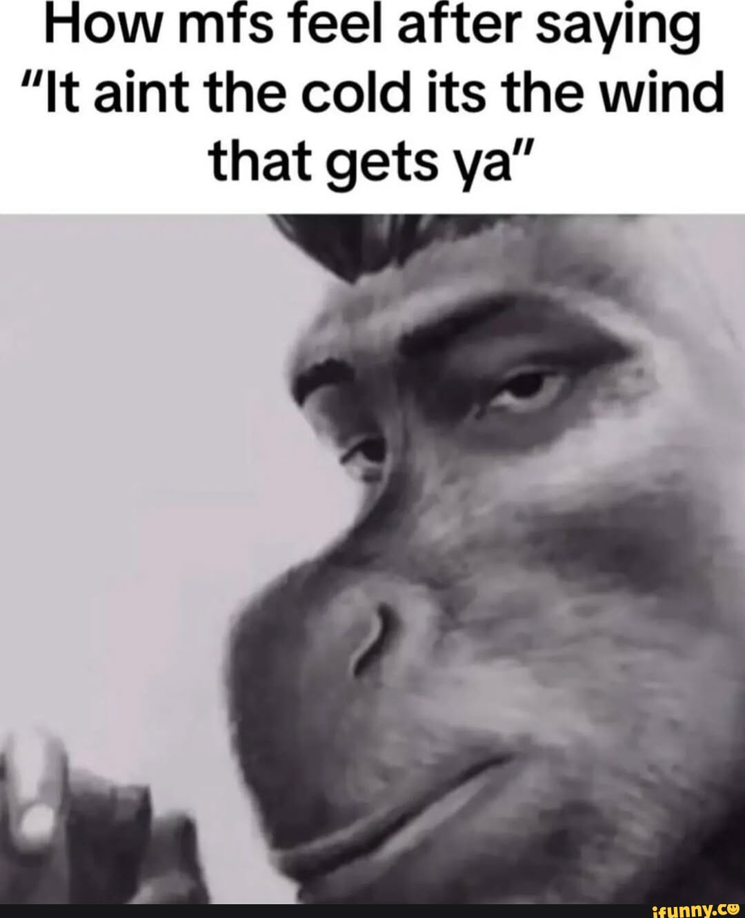 How mfs feel after saying "It aint the cold its the wind that gets ya ...