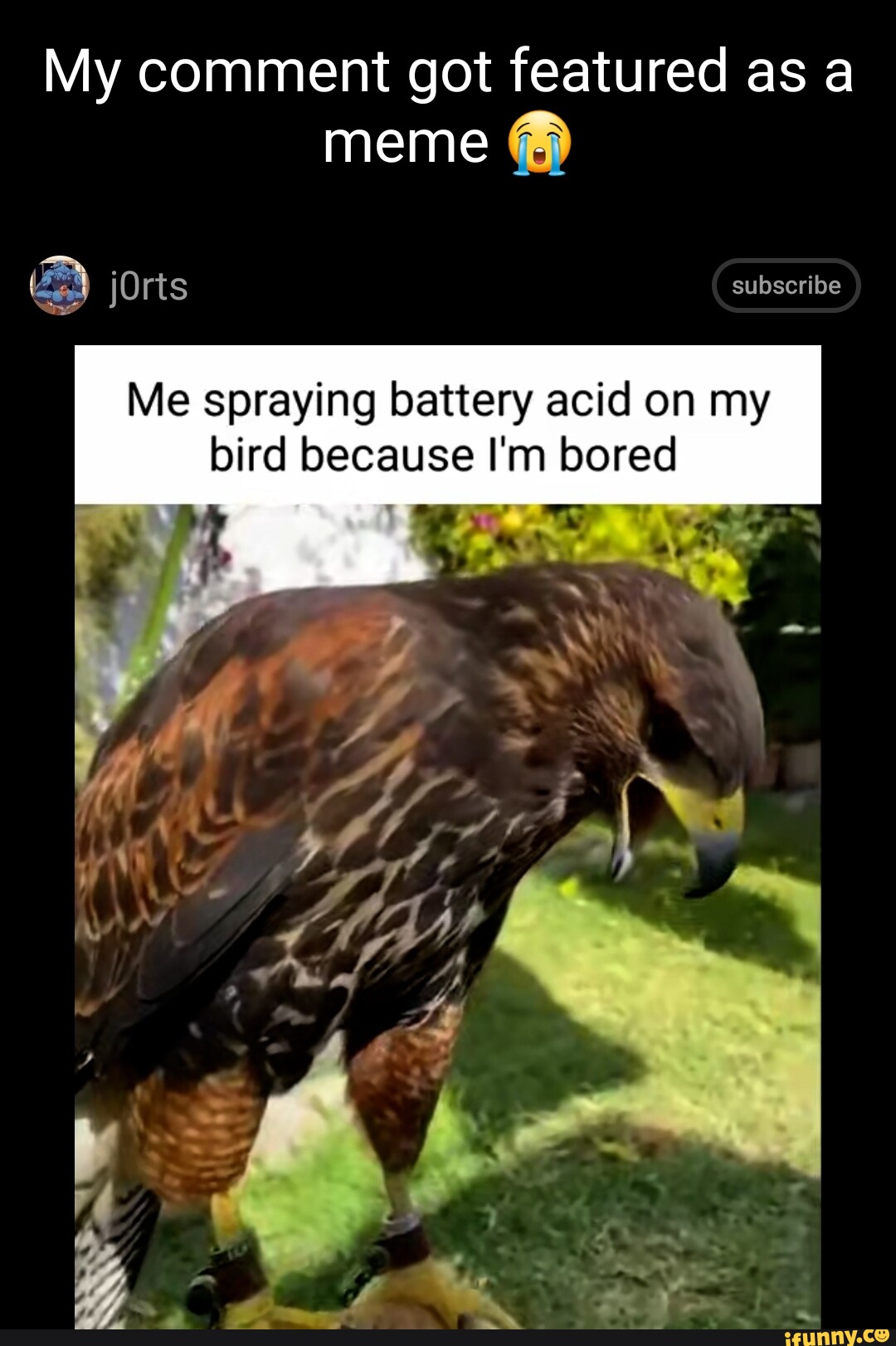 Jorts memes. Best Collection of funny Jorts pictures on iFunny