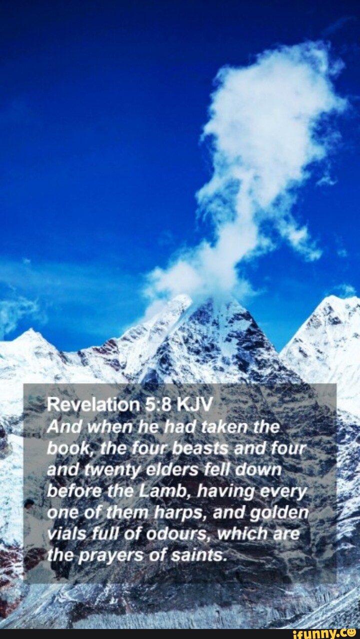 Harps memes. Best Collection of funny Harps pictures on iFunny