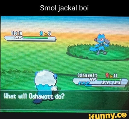 Jackal memes. Best Collection of funny Jackal pictures on iFunny