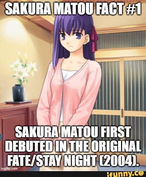 Sakura Matou first debuted in the original Fate/stay night (2004 ...