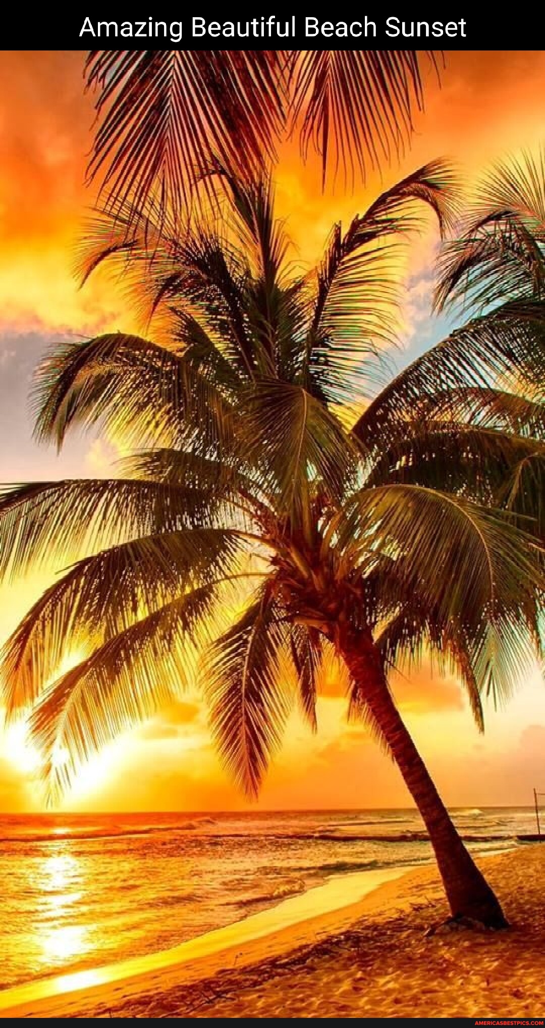 Amazing Beautiful Beach Sunset - America’s best pics and videos