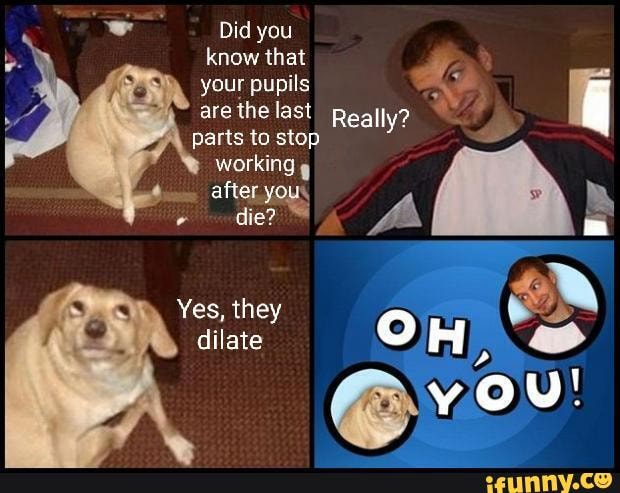 Dilate memes. Best Collection of funny Dilate pictures on iFunny