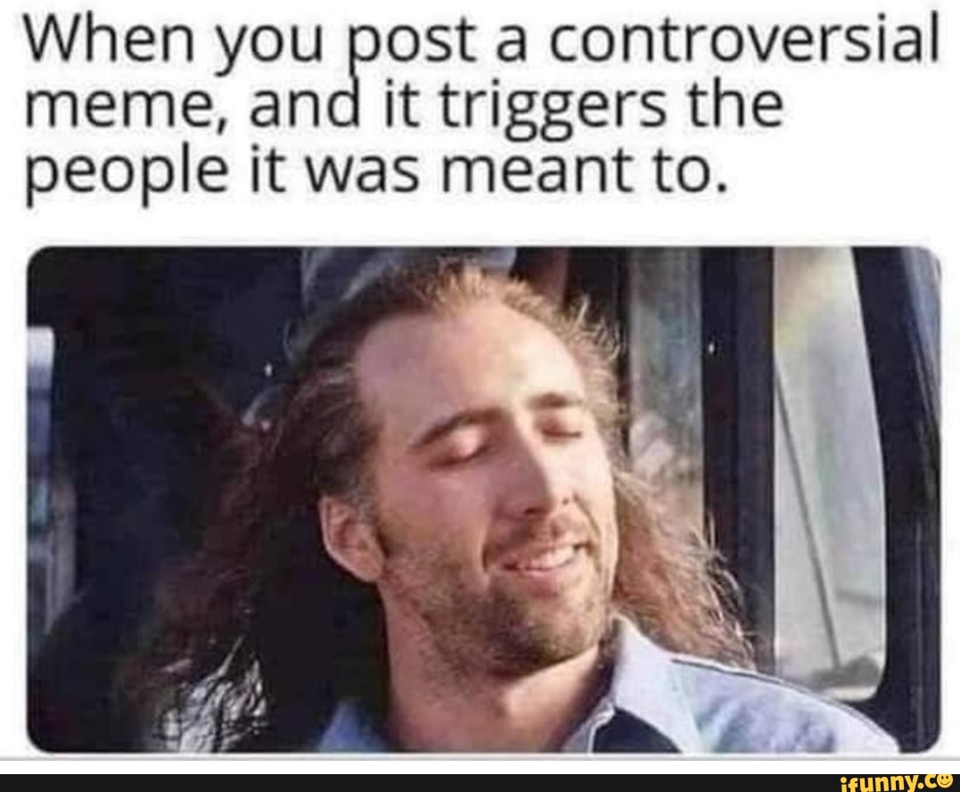 When you meme, and it controversial triggers the meme, and it triggers ...
