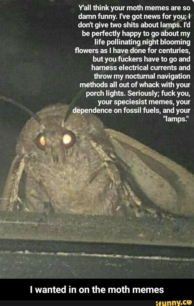 Wall think your moth memes are so damn funny. I've got news for you ...