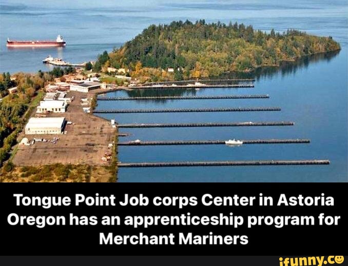 Apprenticeship memes. Best Collection of funny Apprenticeship pictures ...