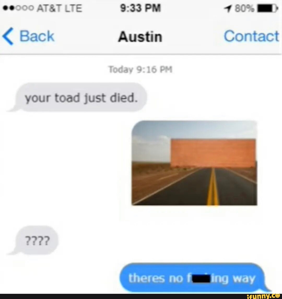 @@000 ATAT LTE PM Back Austin Contact Today PM your toad just died ...