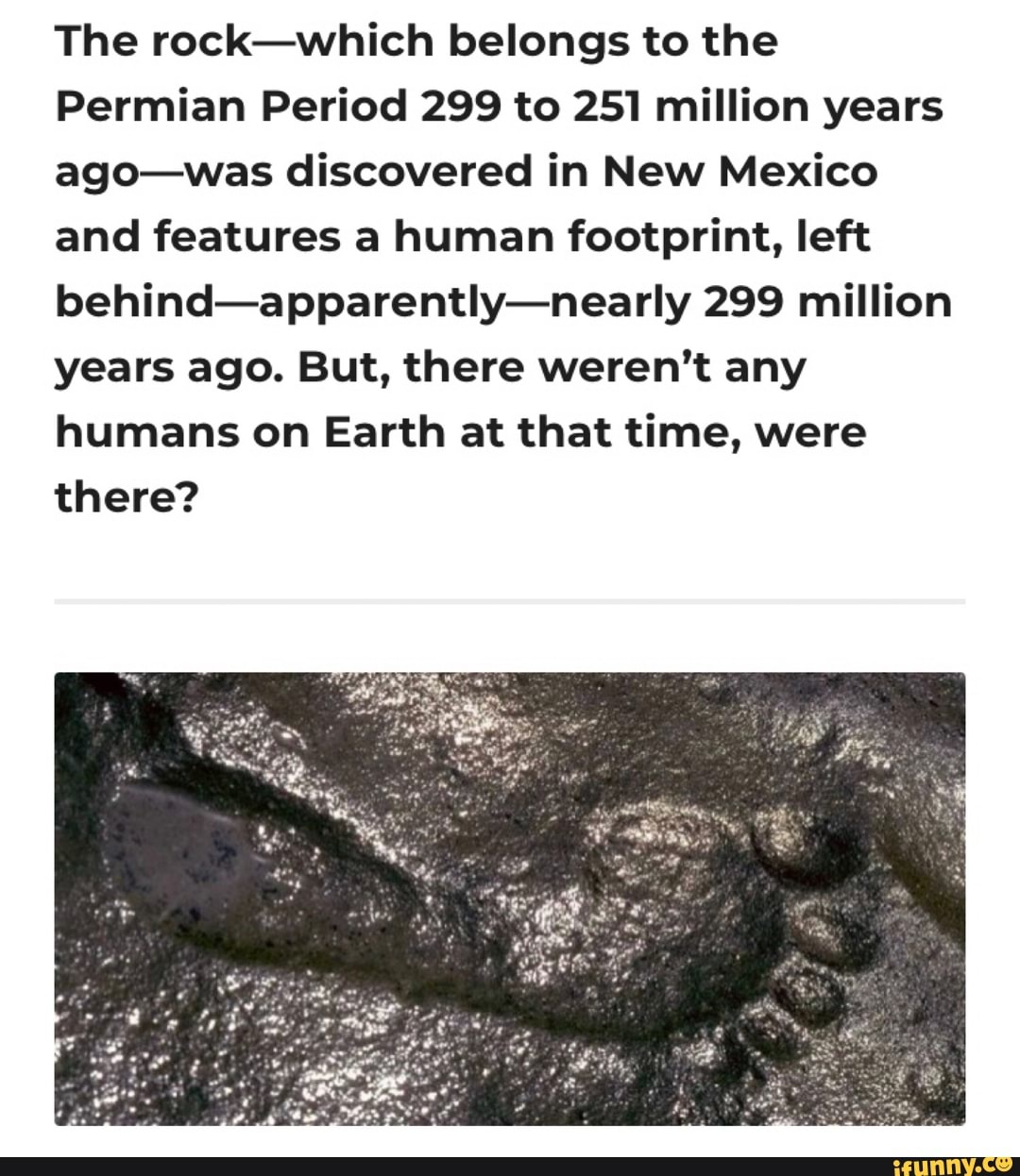 The rock-which belongs to the Permian Period 299 to 251 million years ...