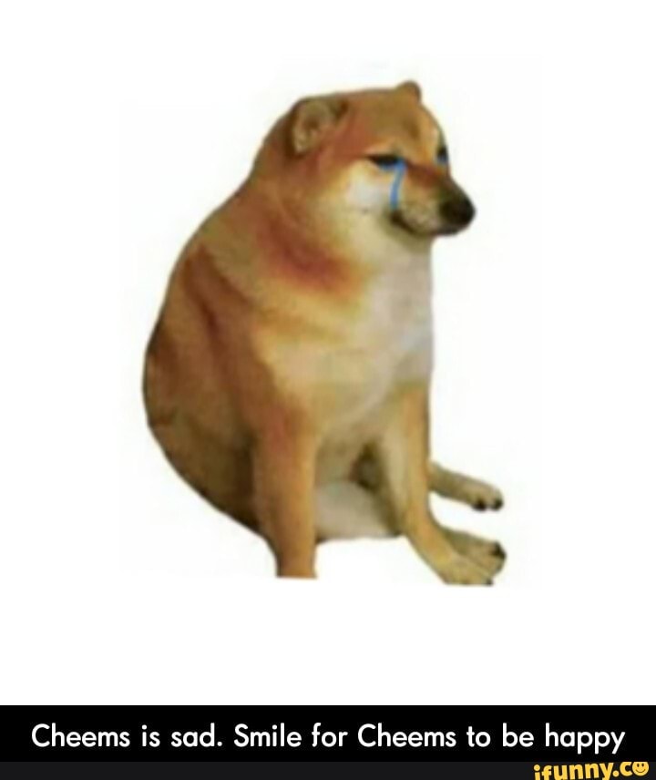 Cheems is sad. Smile for Cheems to be happy - iFunny