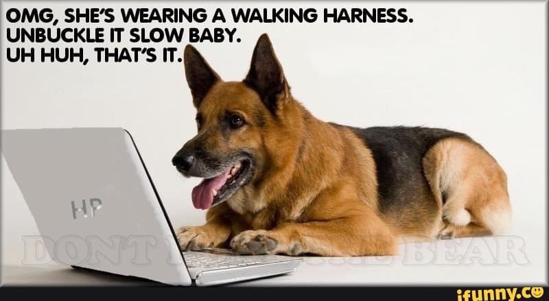OMG, SHE'S WEARING A WALKING HARNESS. UNBUCKLE IT SLOW BABY. UH HUH ...