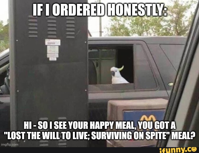 IF SO SEE YOUR HAPPY MEAL, YOU GOT A "LOST THE WILL TO LIVE; SURVIVING ...