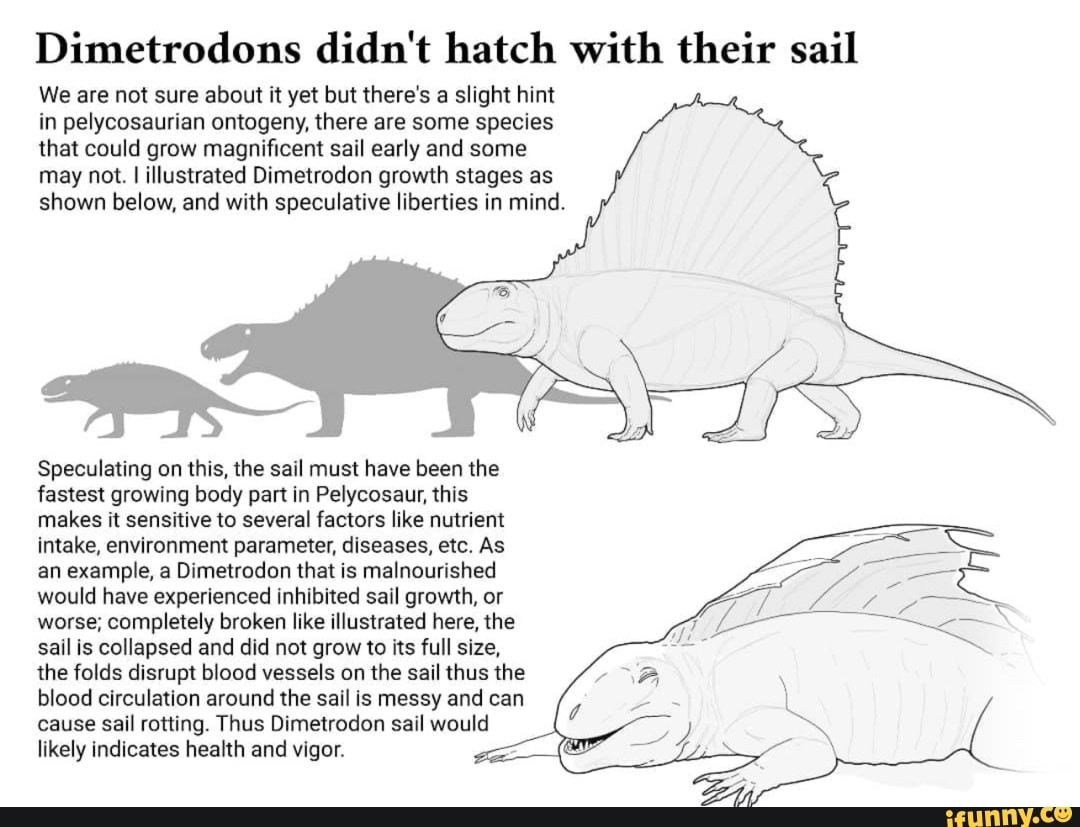 Dimetrodons memes. Best Collection of funny Dimetrodons pictures on iFunny