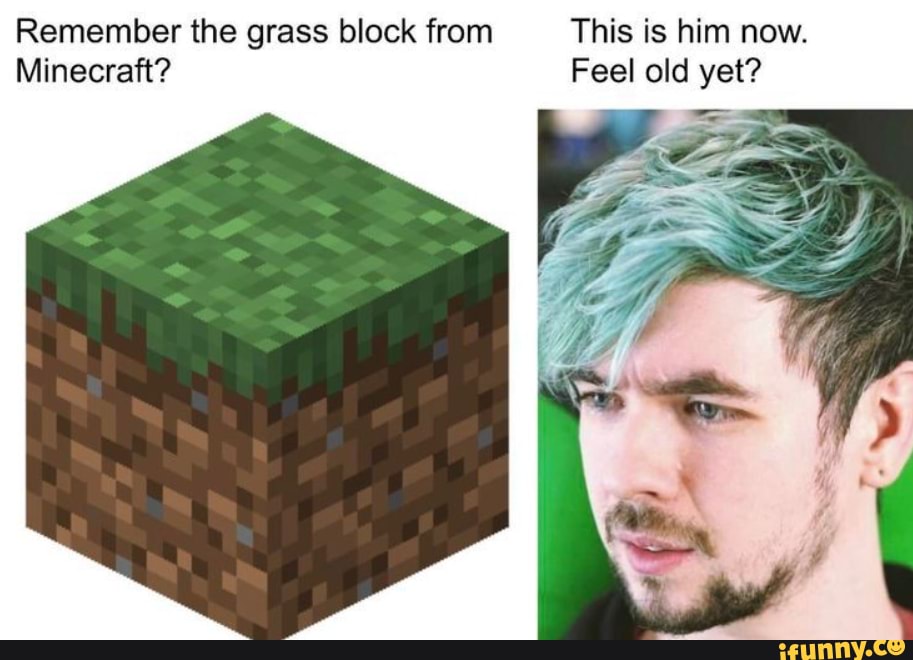Remember the grass block from This is him now. Minecraft? Feel old yet ...