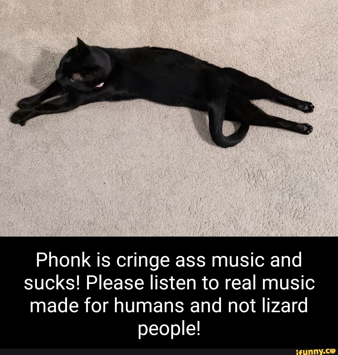Phonk is cringe ass music and sucks! Please listen to real music made ...