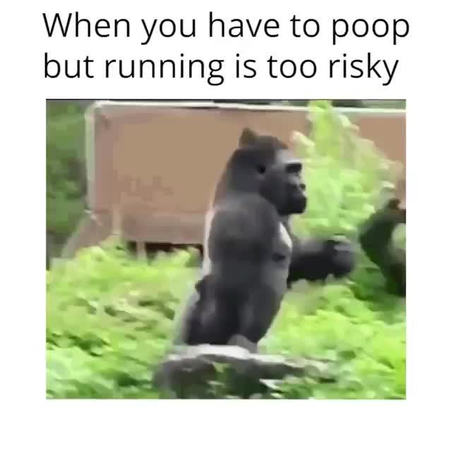 When you have to poop but running is too risky - )