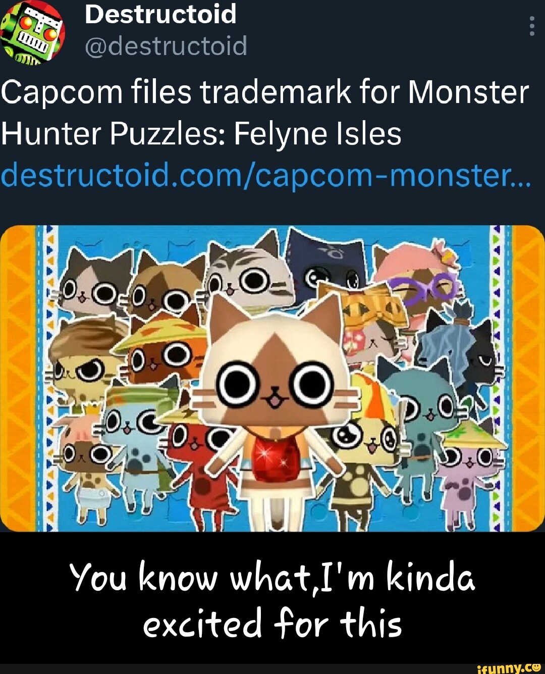 Felyne memes. Best Collection of funny Felyne pictures on iFunny